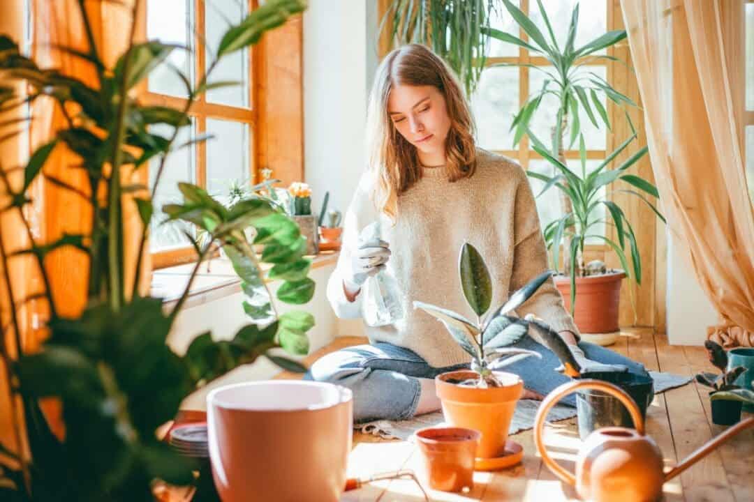 What Happens If You Put A Plant In A Pot Too Big? » Simplify Plants