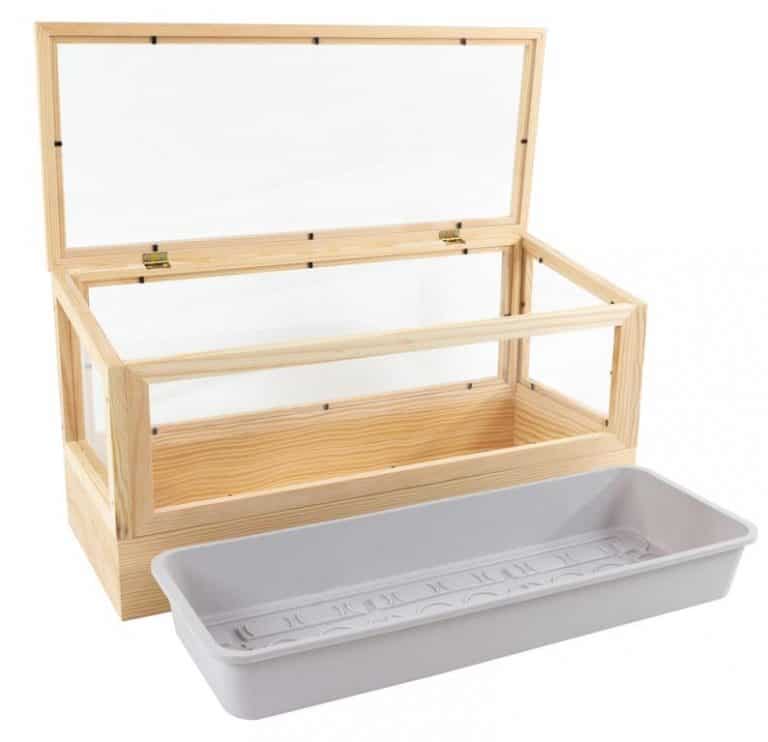 11 Ways To Increase Humidity Indoors For Plants » Simplify Plants