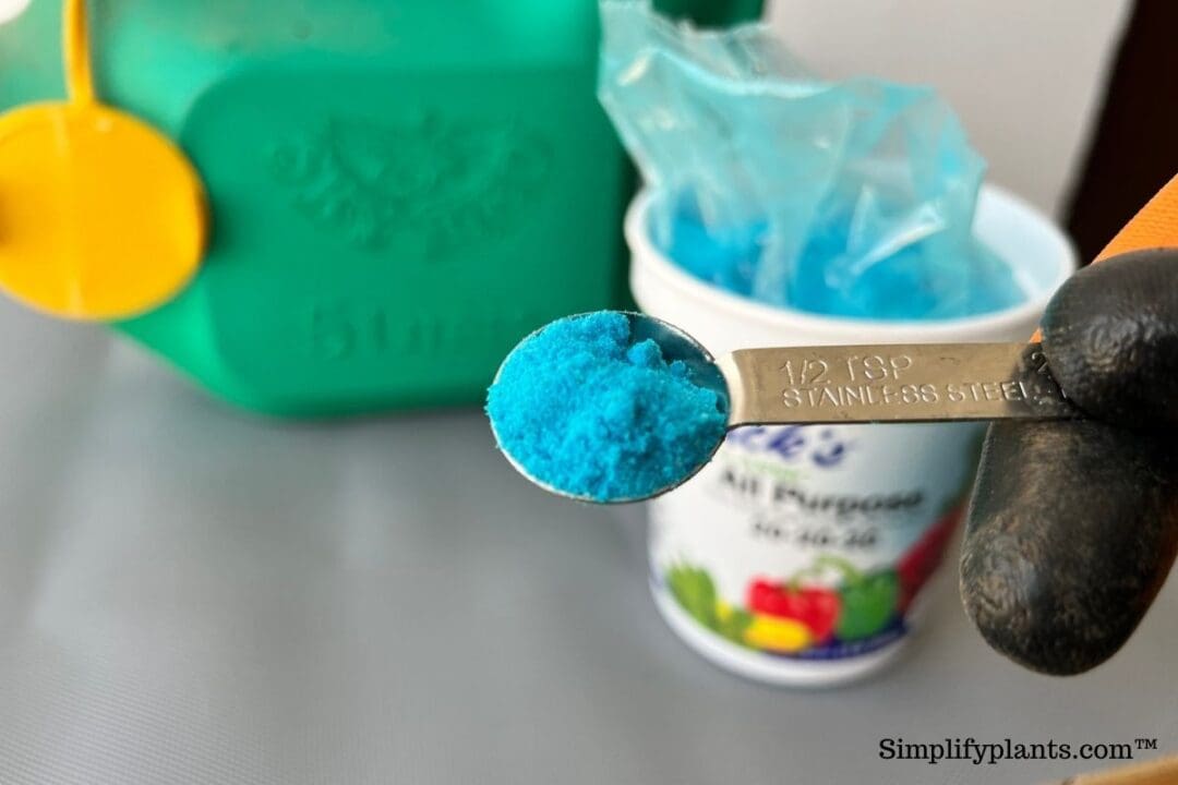 How Do You Care For Birds Of Paradise? (Ultimate Care Guide) » Simplify ...