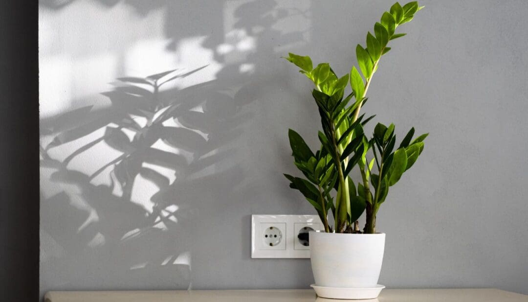 18 Low Light Bathroom Plants You Can’t Kill Easily » Simplify Plants