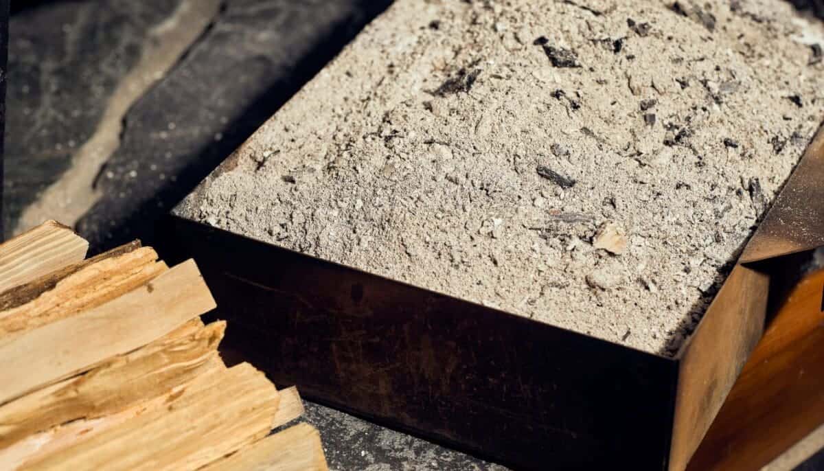 7 Practical Wood Ash Uses For Your Plants! » Simplify Plants