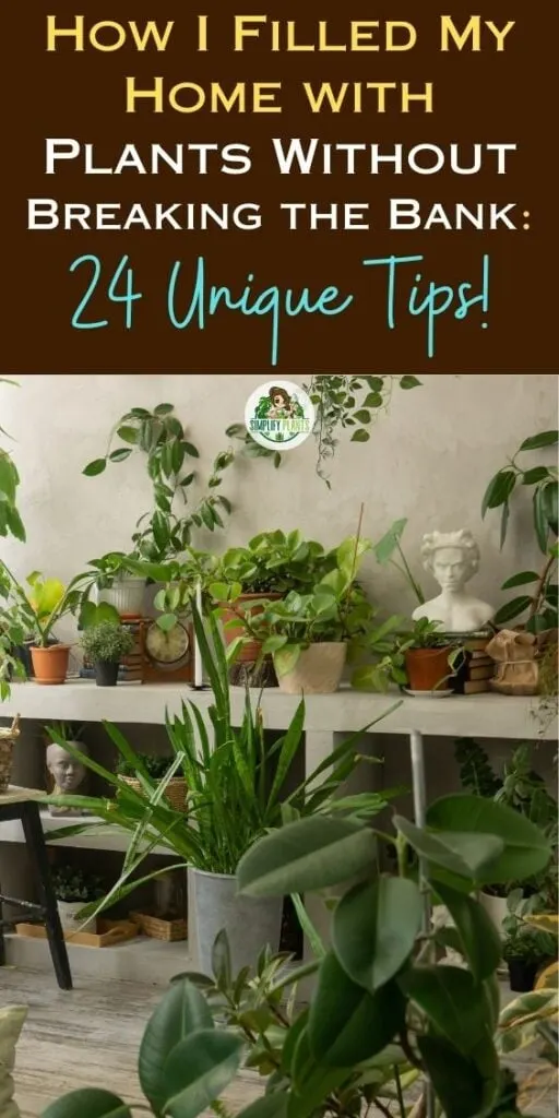 How I Filled My Home With Plants Without Breaking The Bank: 24 Unique ...