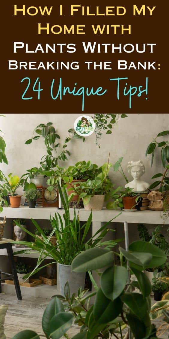 How I Filled My Home With Plants Without Breaking The Bank: 24 Unique ...