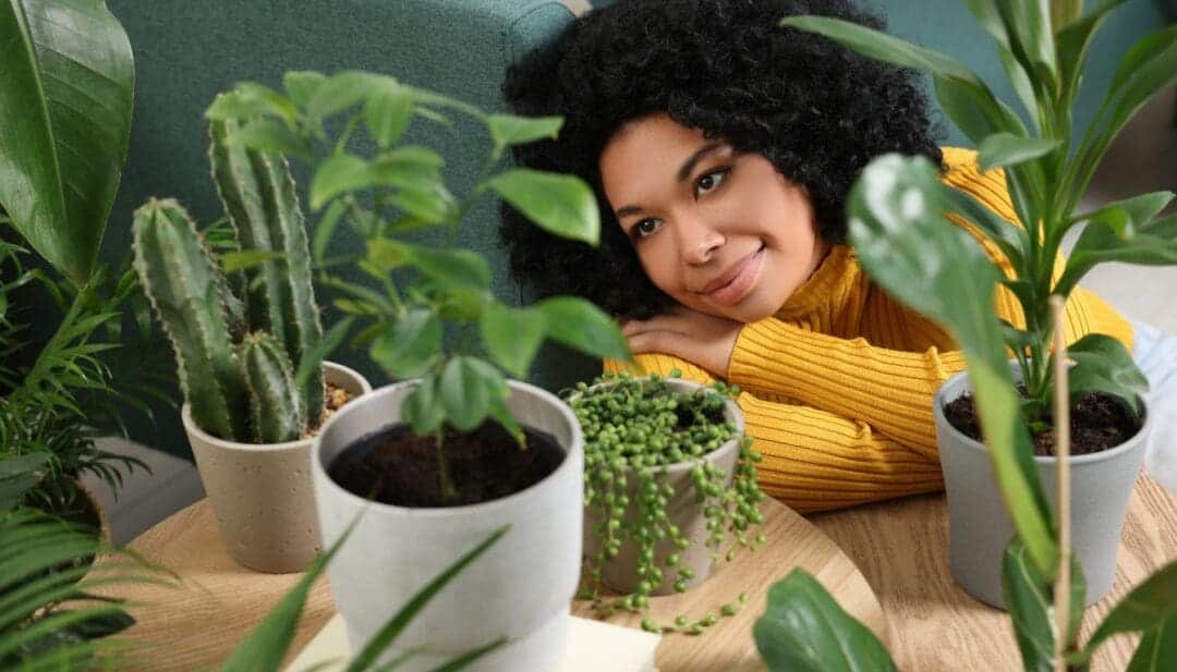 Is Talking To Your Houseplants Beneficial Or Just A Waste Of Time ...