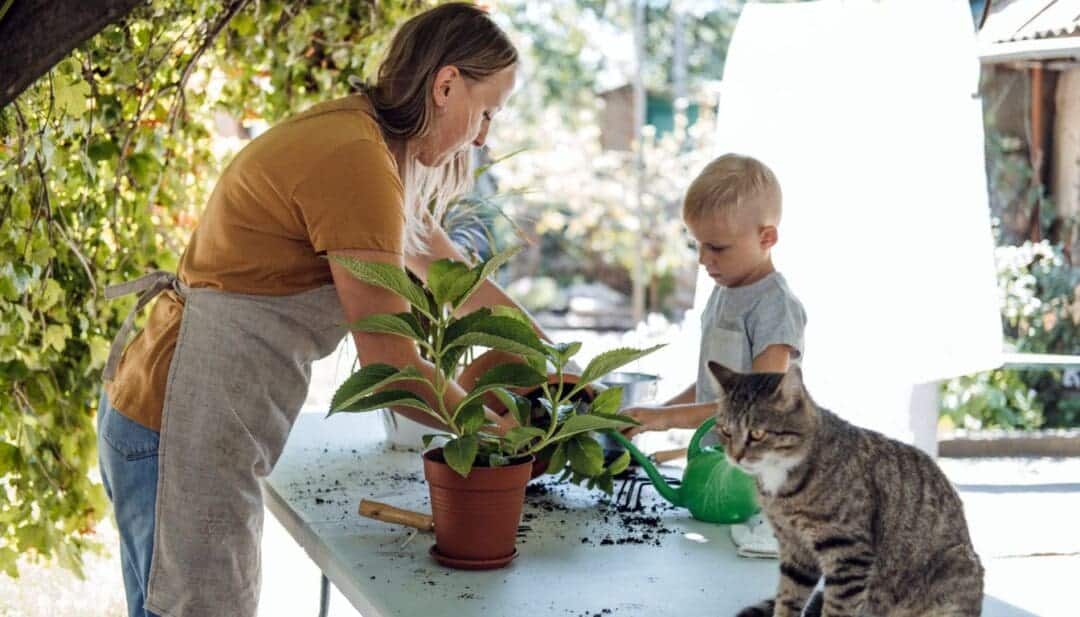 What's The Best Age To Teach Kids About Plant Care? » Simplify Plants