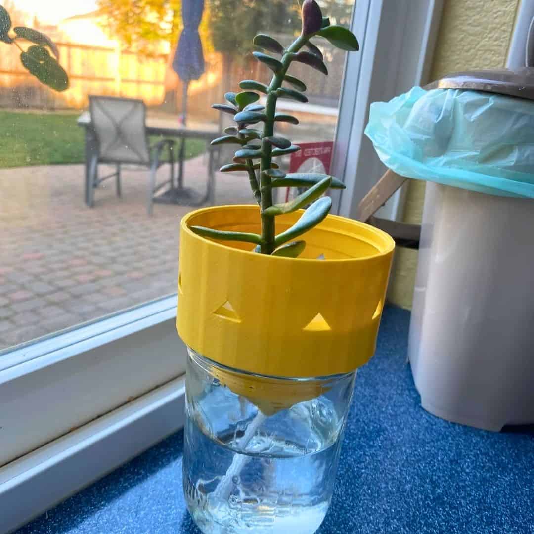 5 DIY Self-Watering Pots You Can Make In Minutes For Effortless Plant ...