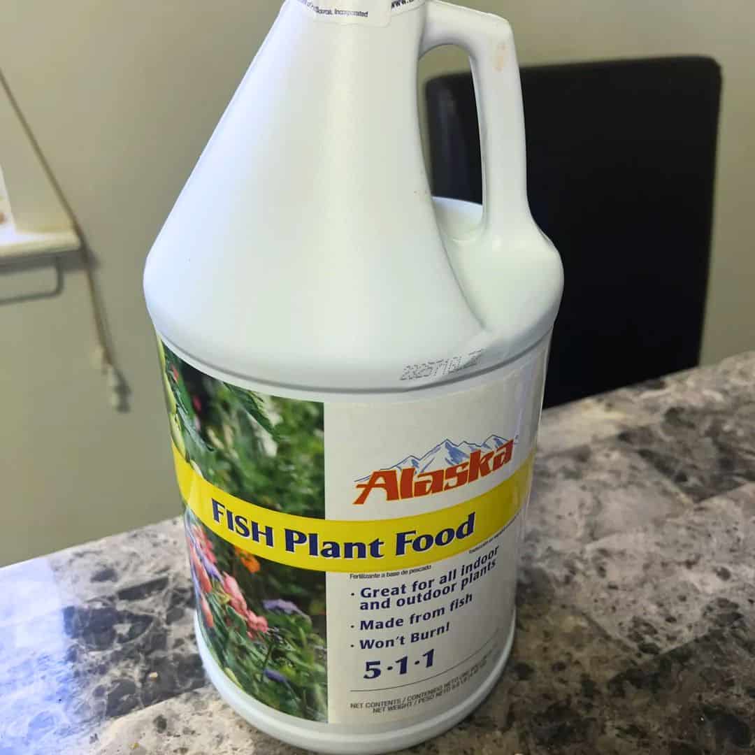 5 Fertilizing Tips To Boost Plant Growth In Summer » Simplify Plants