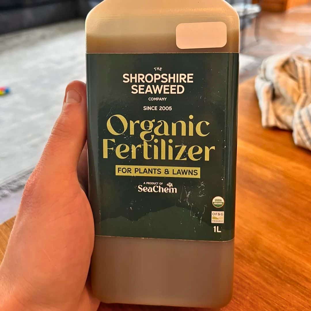 7 Ways To Transition Your Houseplants For Fall And Keep Them Thriving ...