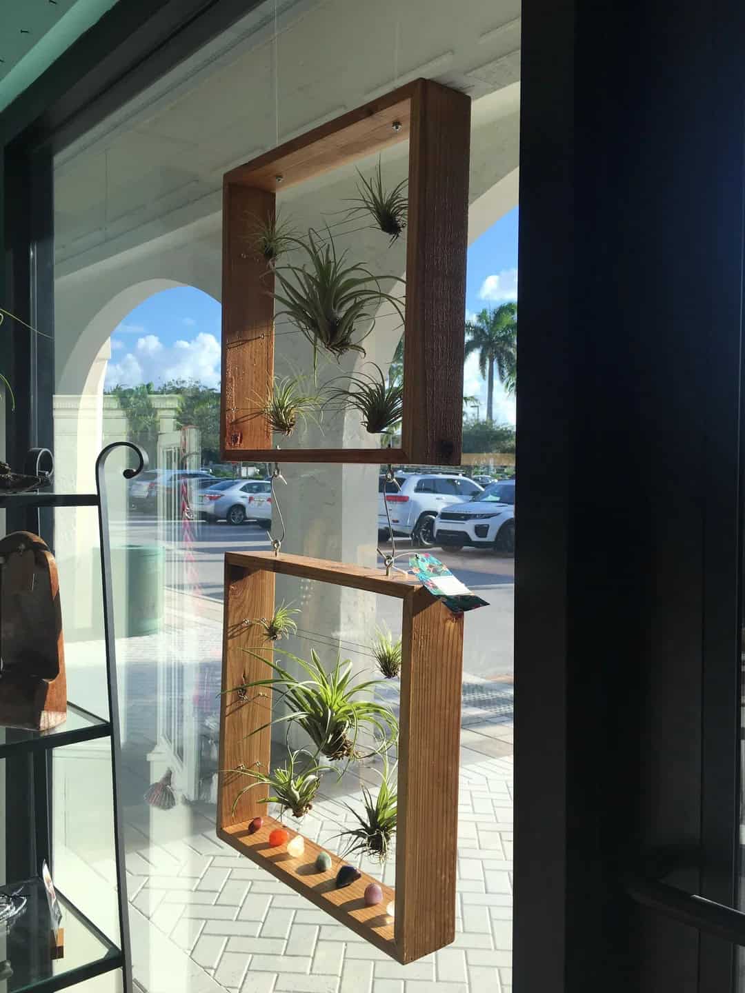 20 Creative Air Plant Display Ideas (With Real Images) » Simplify Plants